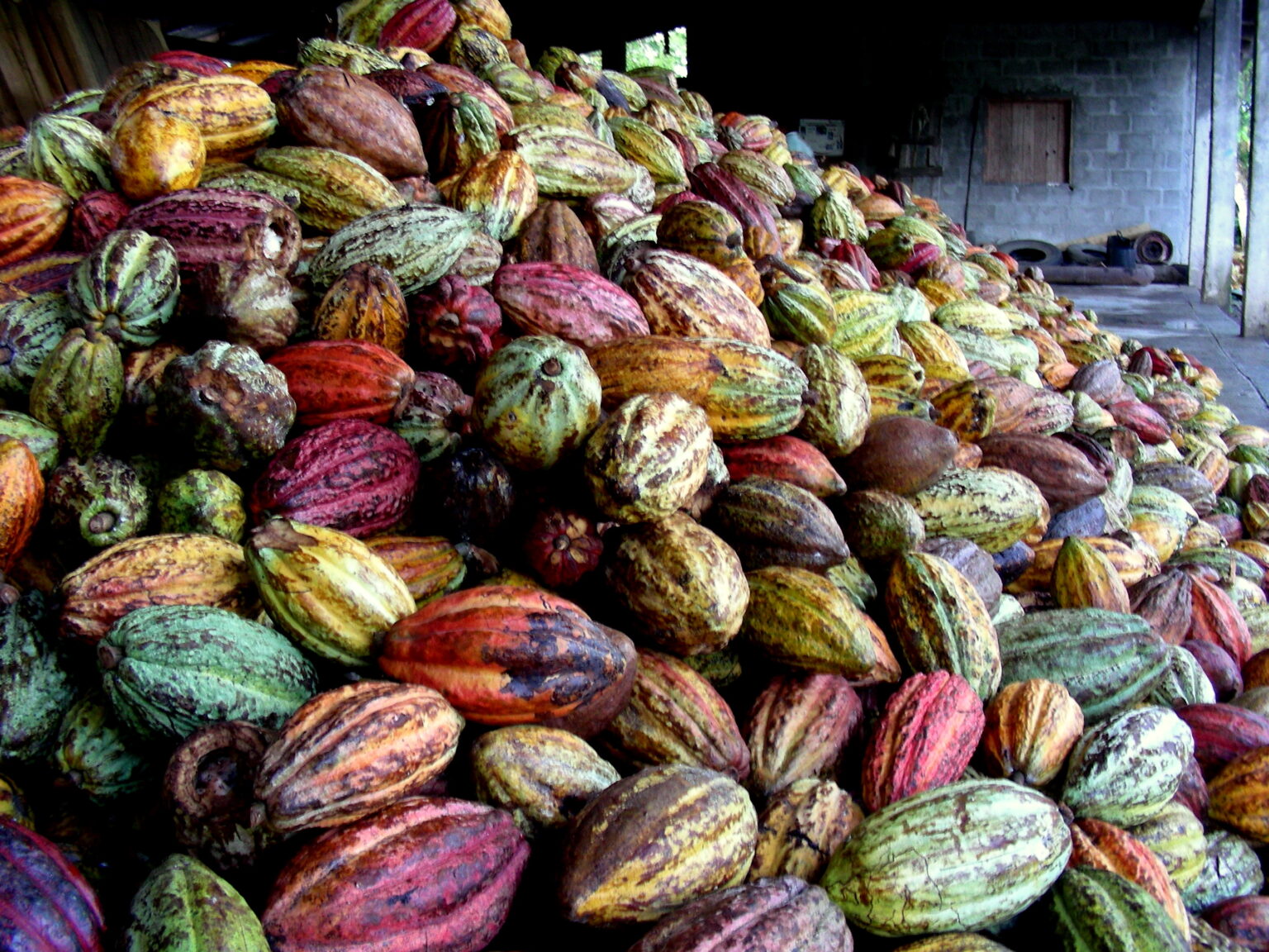 Vote for the Photo of the Month: November 2024