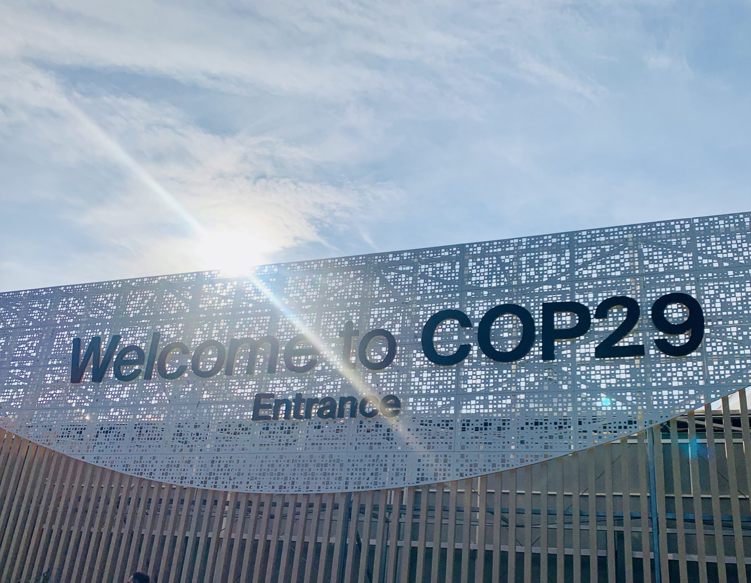 COP29 Explained: Key Decisions & Climate Movement
