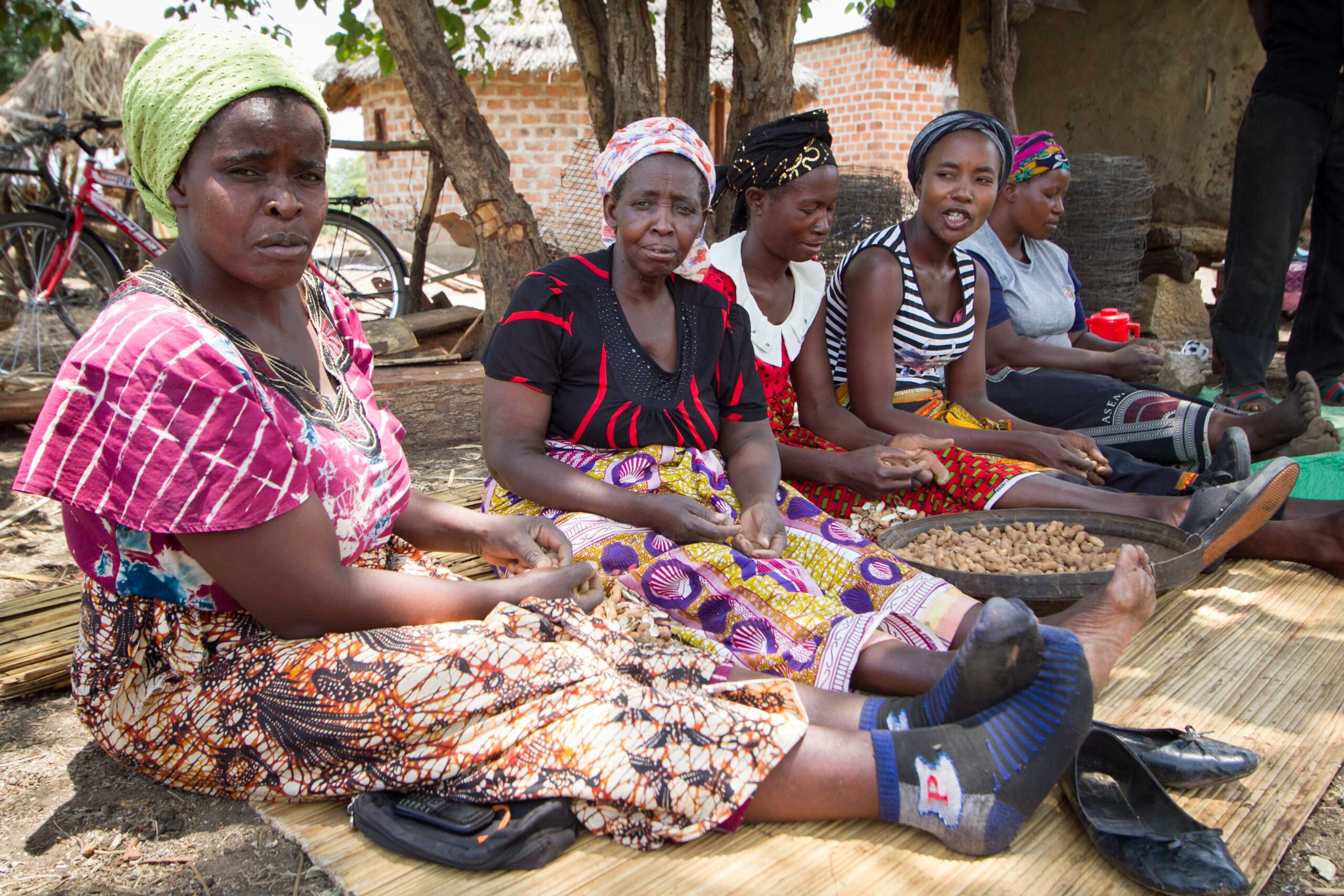 Empower Change: Donate to End Poverty with TechnoServe