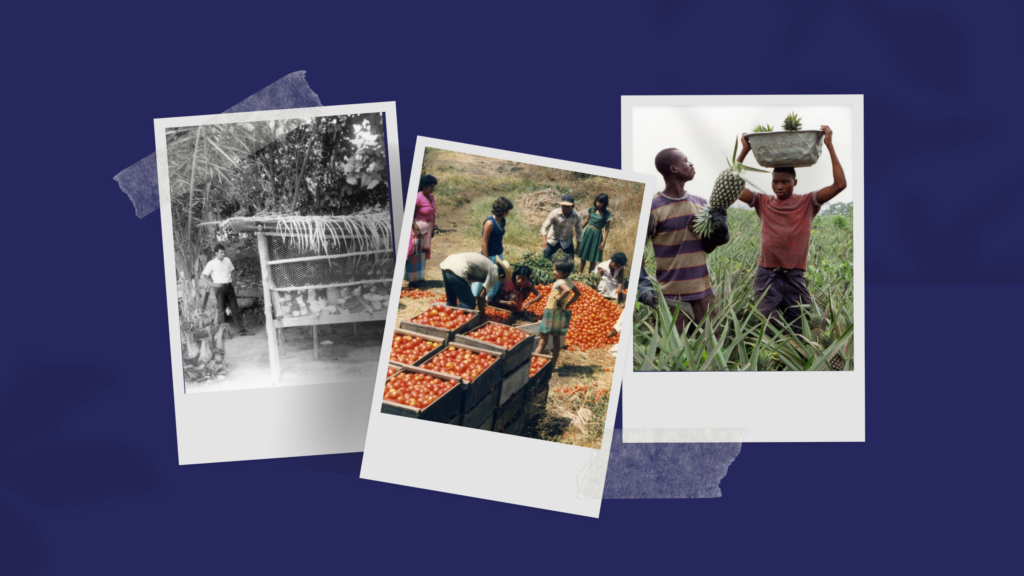 TechnoServe: 50+ Years of Business Solutions Fight Poverty