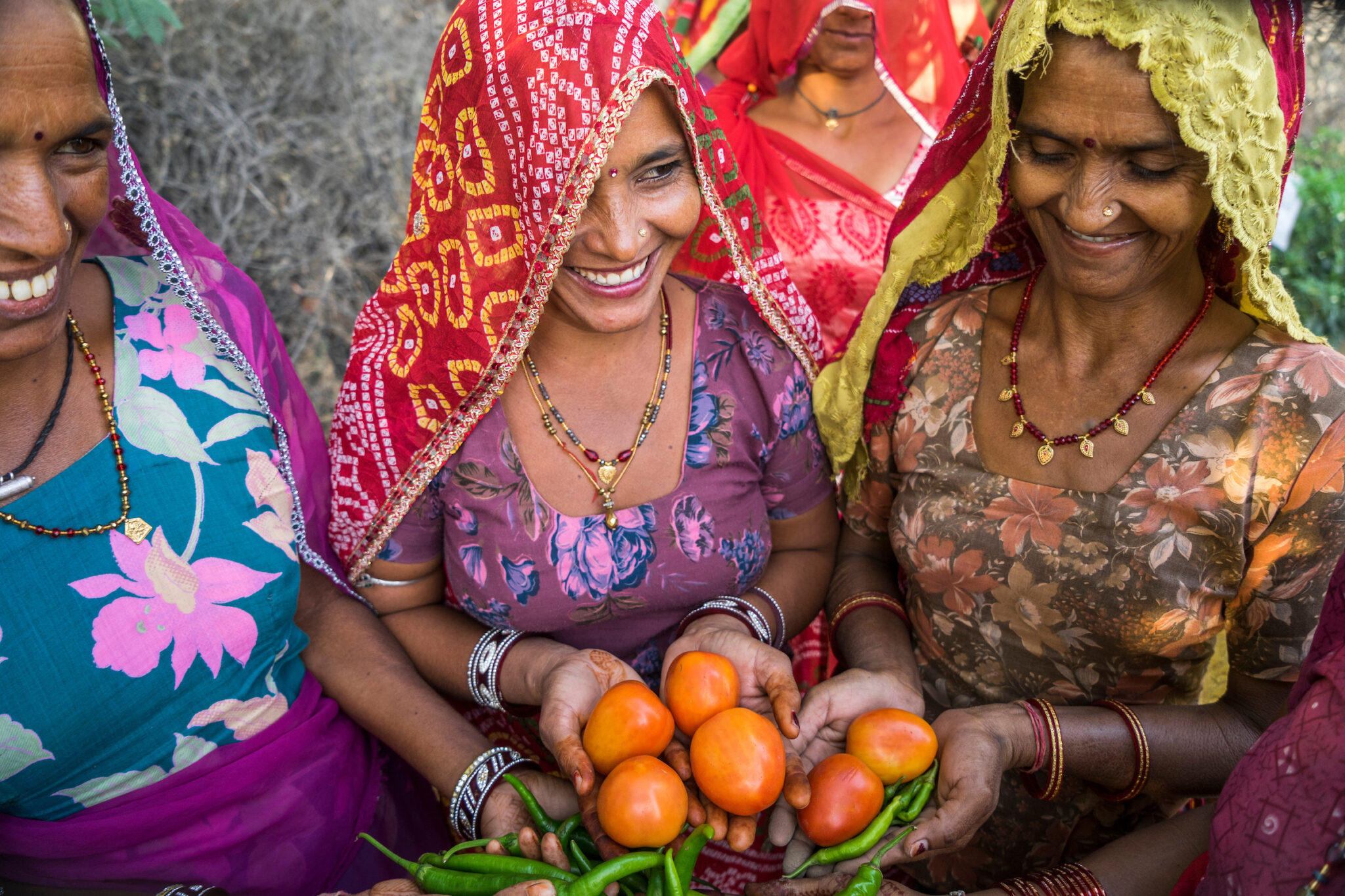TechnoServe: Global Impact | Solutions for Poverty